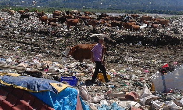 How not to Manage Garbage. Batumi (Photos) - Ecolur